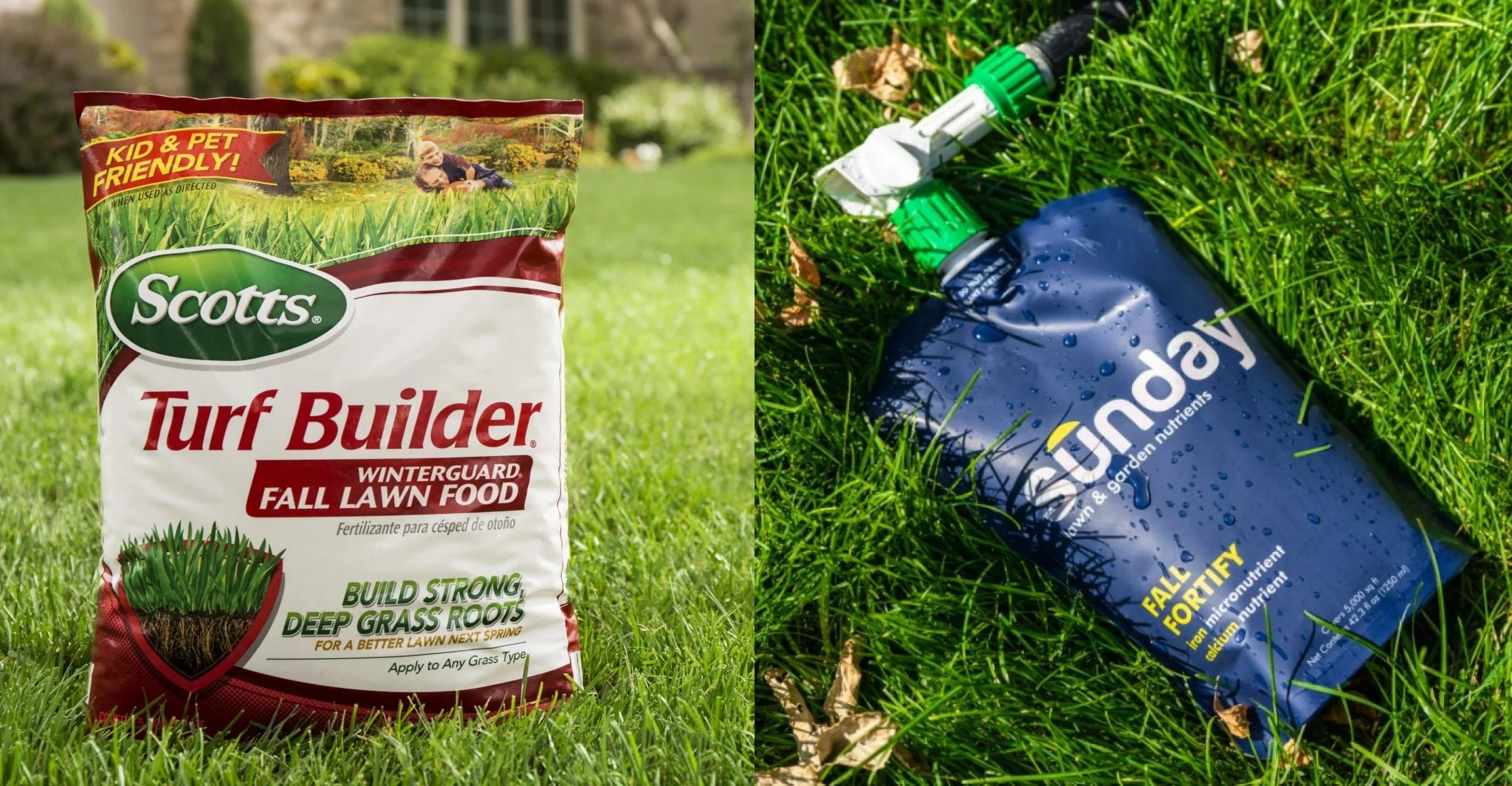 Scotts vs. Sunday Lawn Care:Which Fall Fertilizer is Best? - The ...